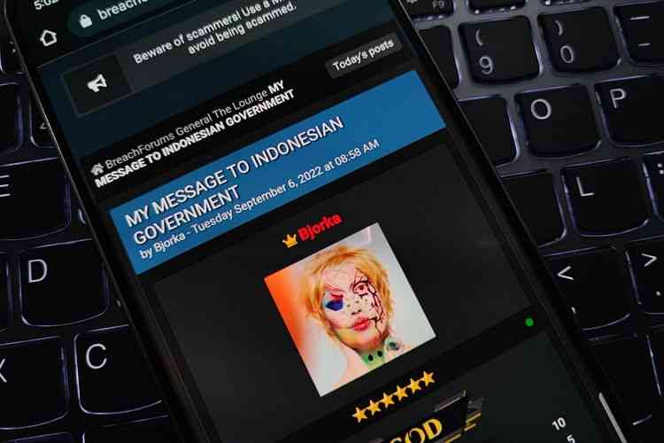 Foto Artikel : Sosok Hacker Bjorka, Anonim Peretas Data Pemerintah ... Foto Artikel : Sosok Hacker Bjorka, Anonim Peretas Data Pemerintah ...