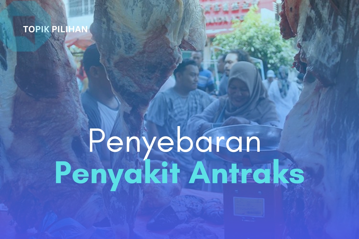 PENYEBARAN ANTRAKS TERUS BERULANG - Kompasiana.com
