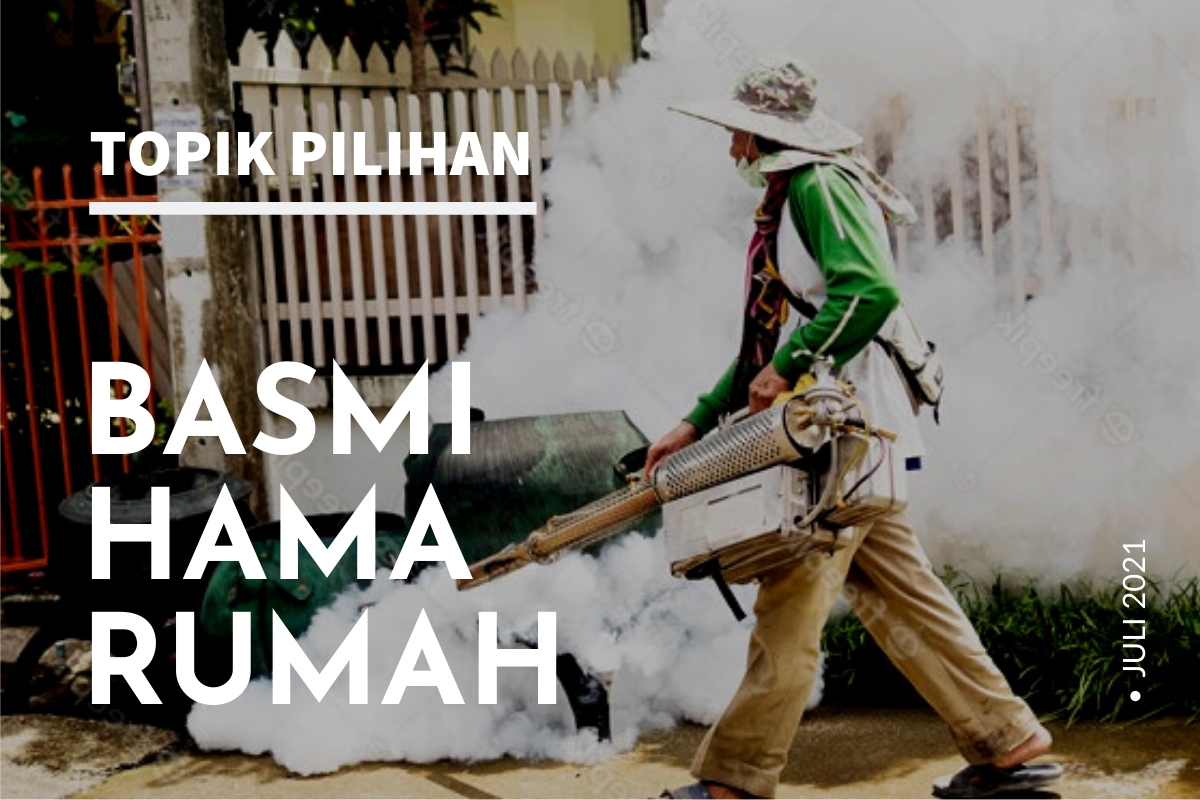 CARA MEMBASMI HAMA RUMAH - Kompasiana.com